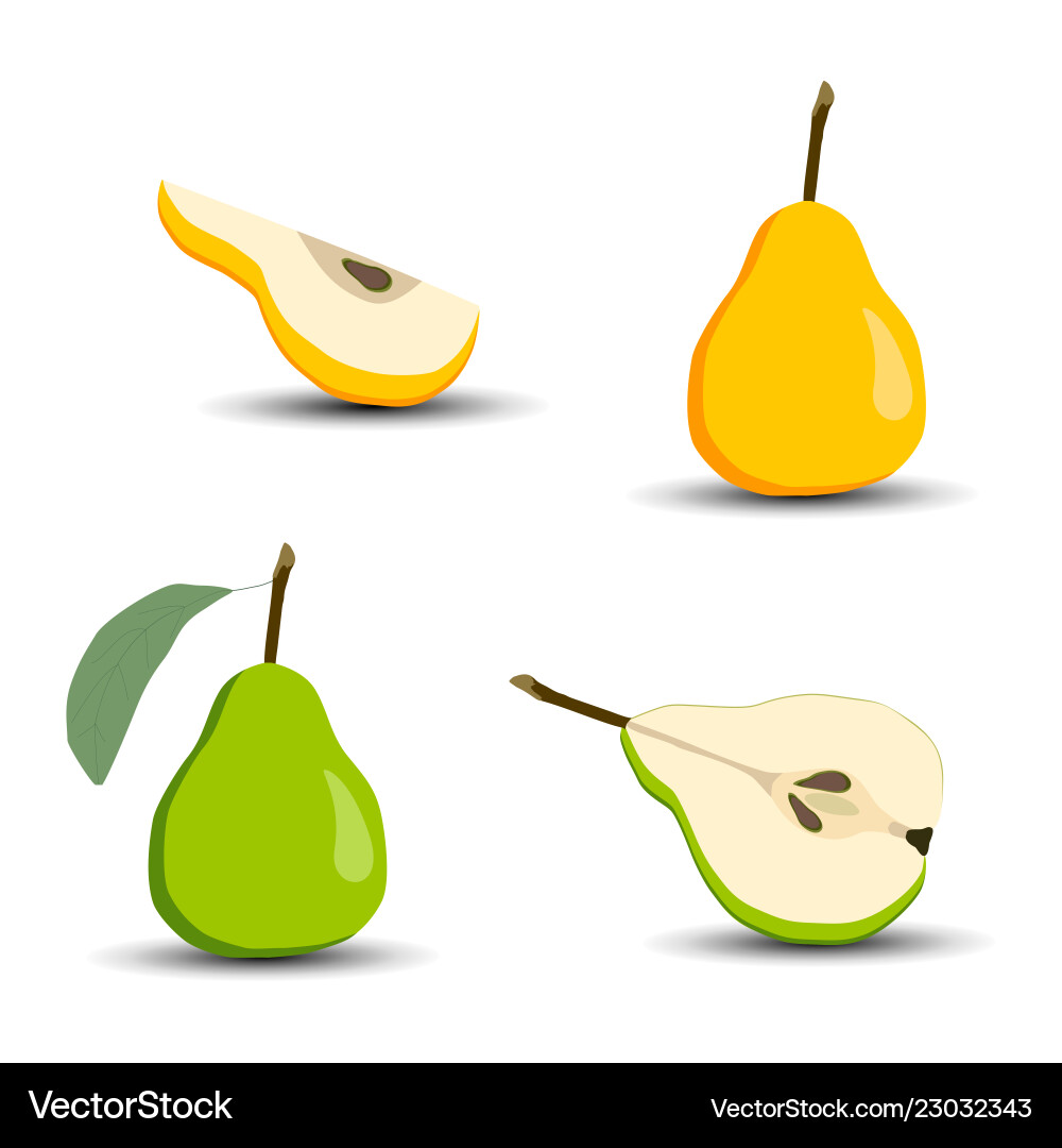 Whole ripe fruit colorful pear Royalty Free Vector Image