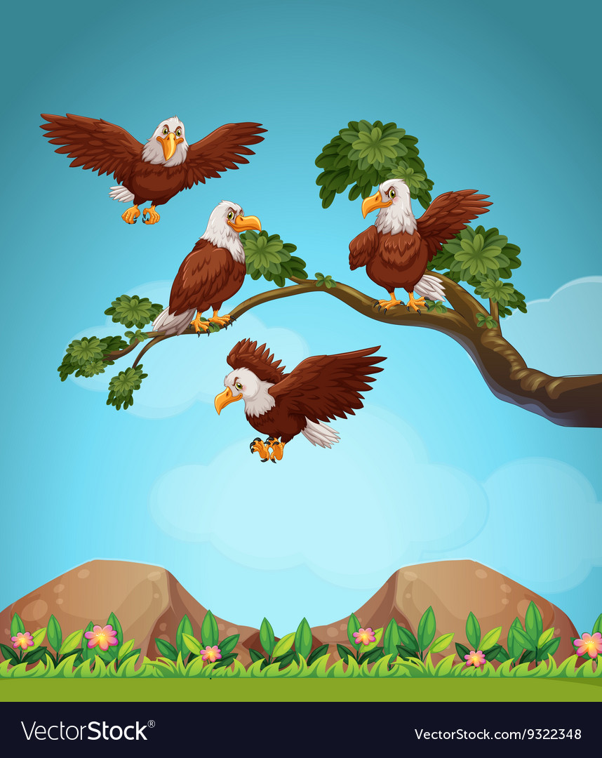 Wildlife Photographer Captures Shocking Moment Eagles Flying Off With