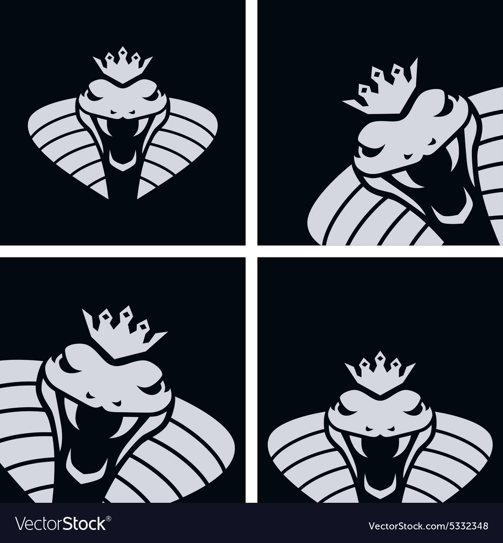 Snake Royalty Free Vector Image - VectorStock