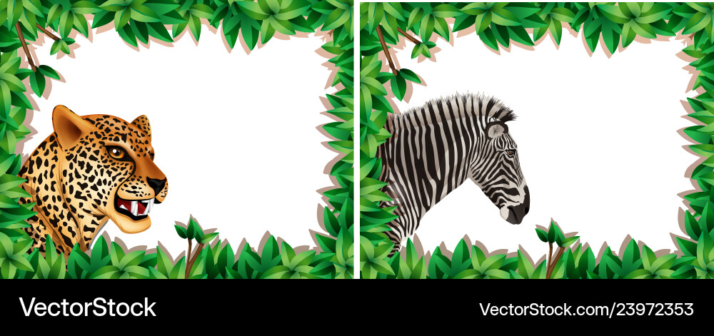Zebra and leopard on nature frame Royalty Free Vector Image