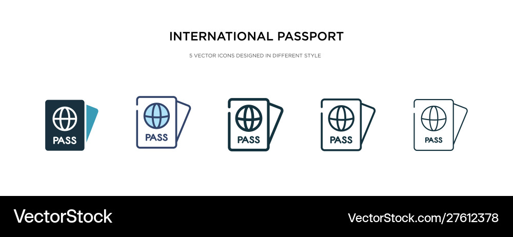 International passport icon in different style Vector Image