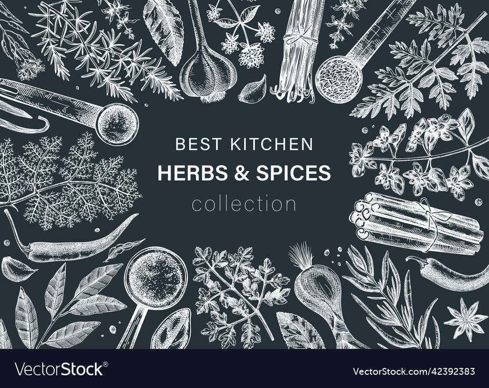 Hand drawn herbs and spices frame design Vector Image
