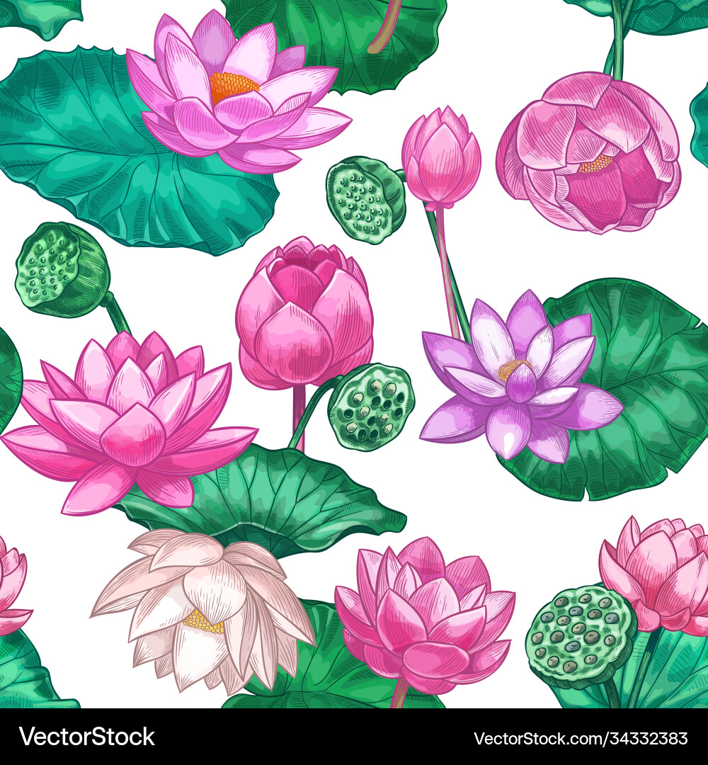 Pink lotus seamless pattern gentle water lily Vector Image