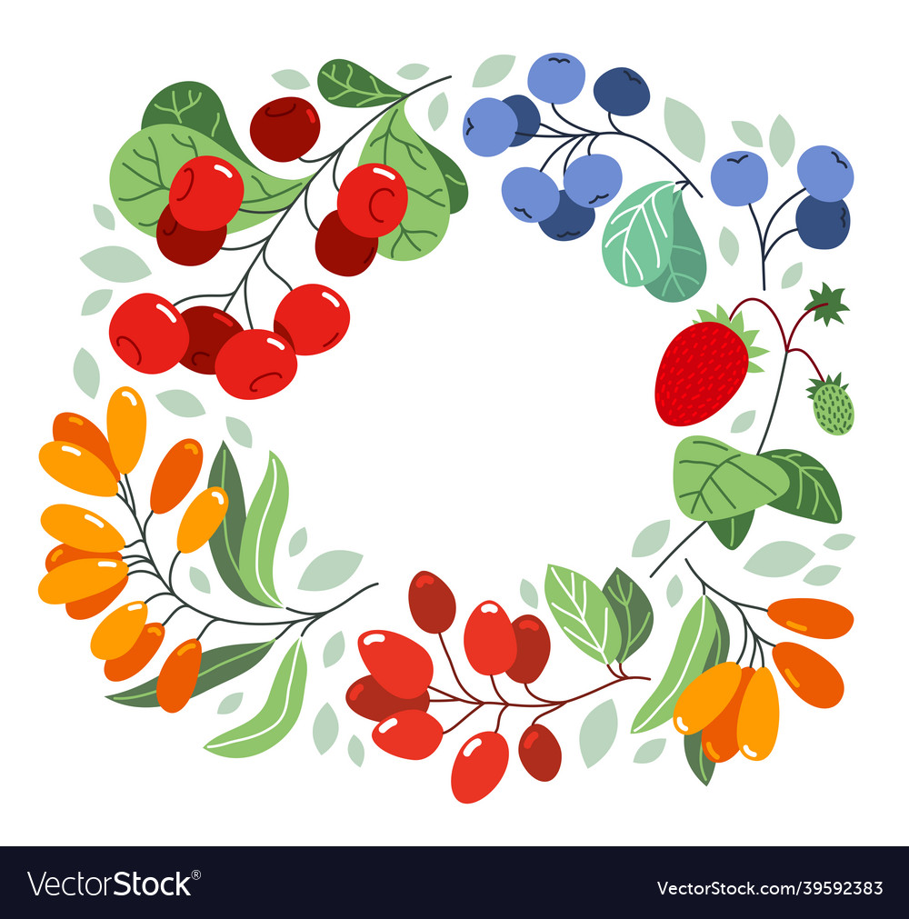 Wild berries fresh and ripe tasty healthy food Vector Image