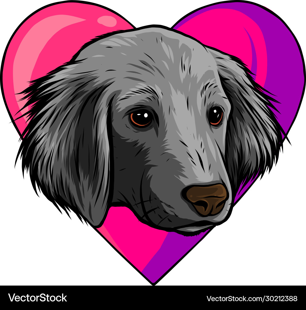 I love dogs icon design Royalty Free Vector Image