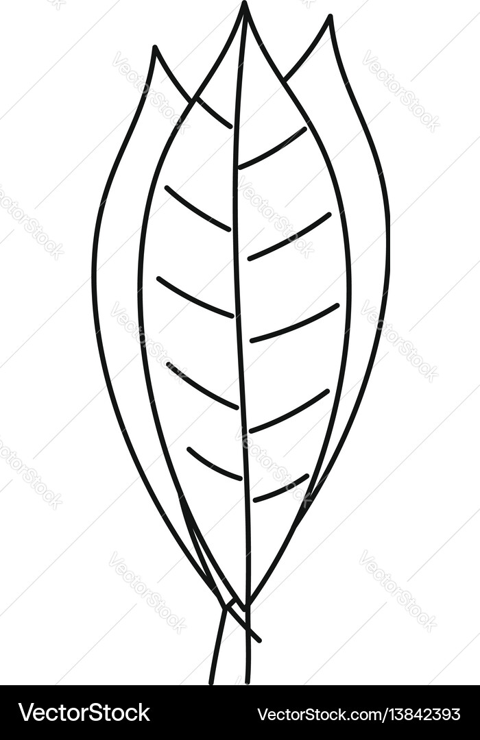 Bay leaves icon outline style Royalty Free Vector Image