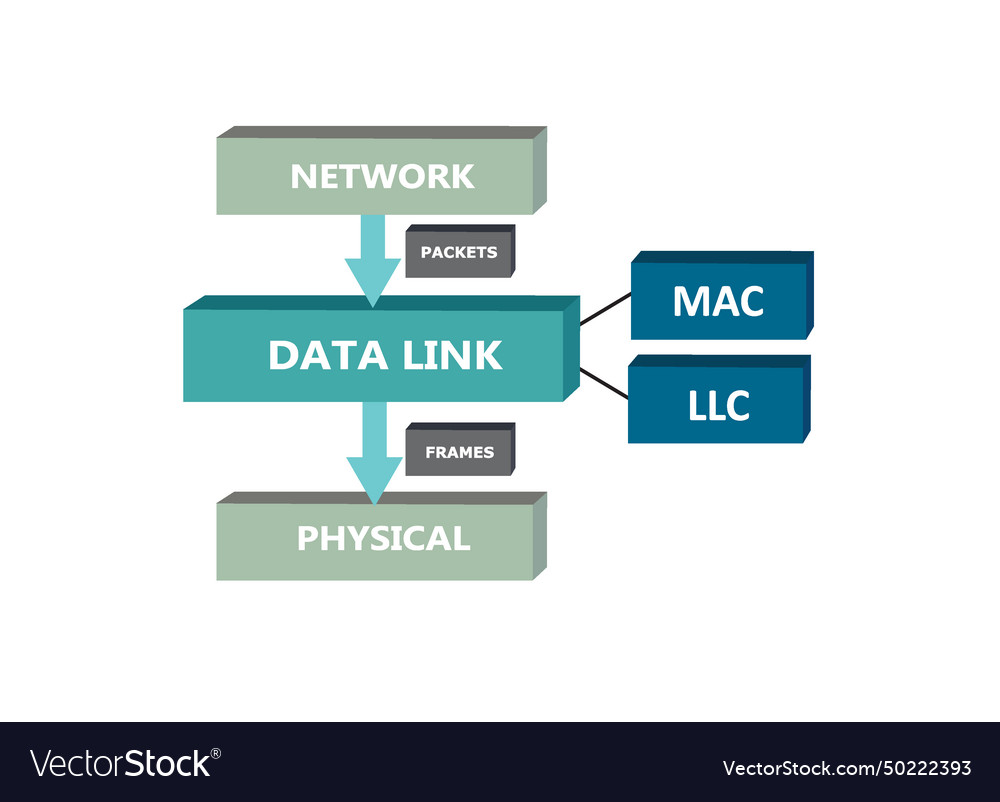 Data link sub layers osi model Royalty Free Vector Image