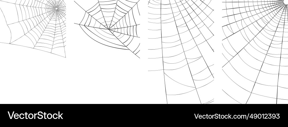 Spiders and web background with space Royalty Free Vector