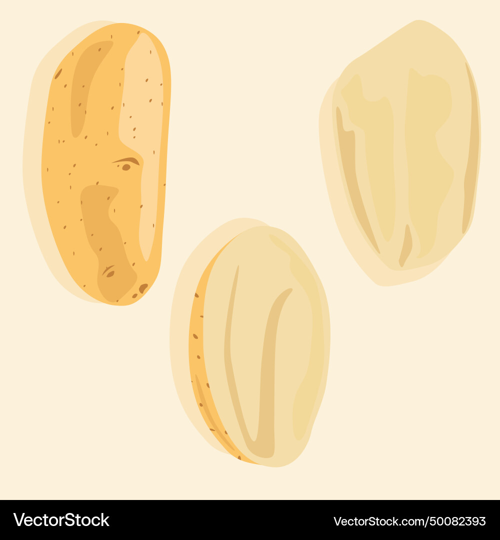 Three types of potatoes Royalty Free Vector Image