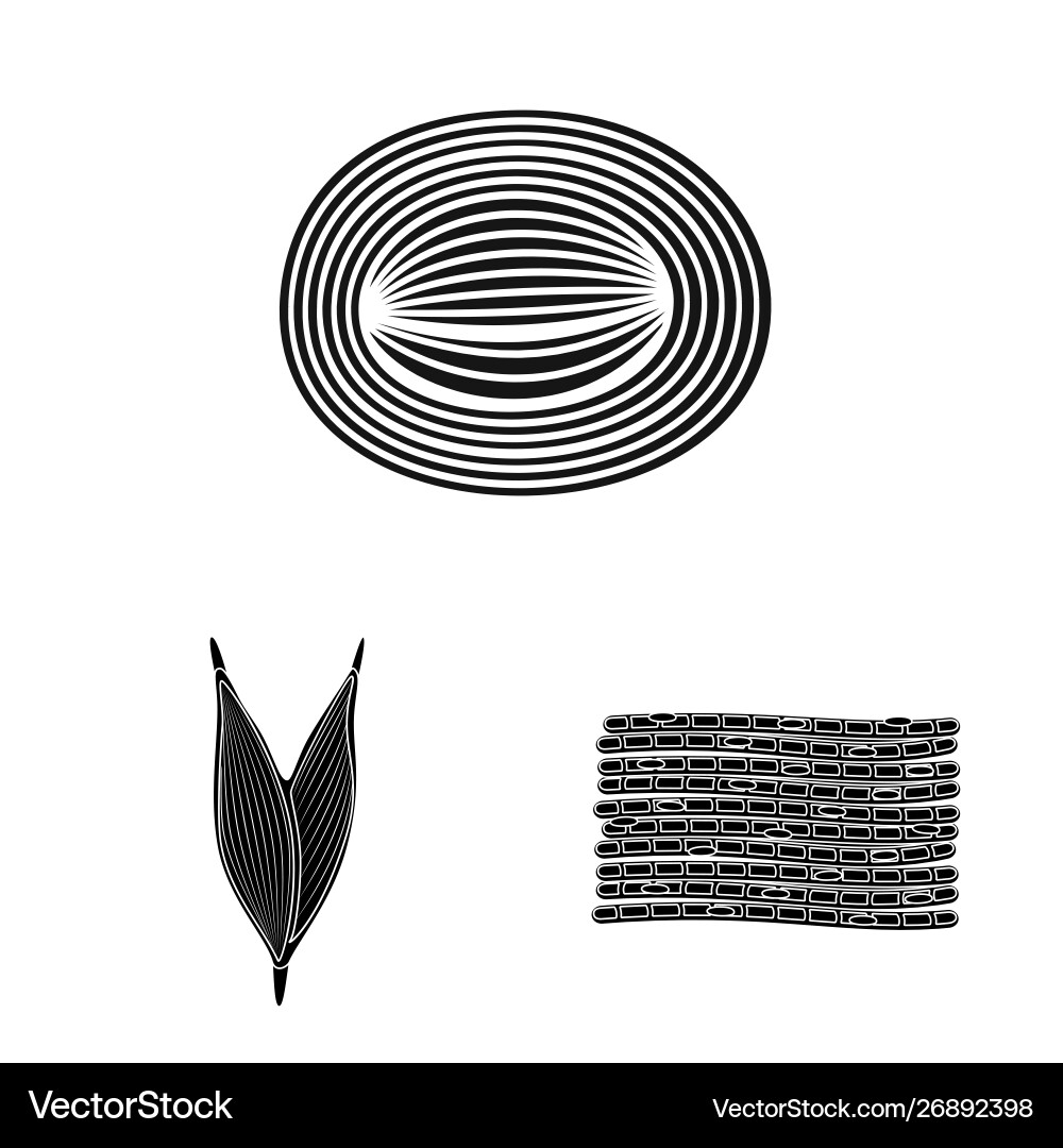 Design human and body sign set Royalty Free Vector Image