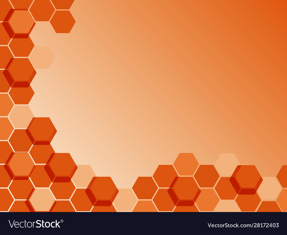 Background template with abstract patterns Vector Image
