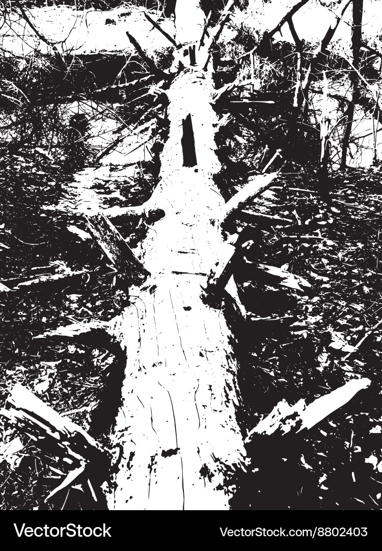 Black and white of fallen tree Royalty Free Vector Image