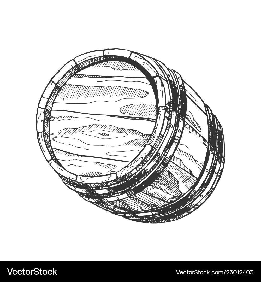 Vintage hand drawn cask barrel for liquid Vector Image