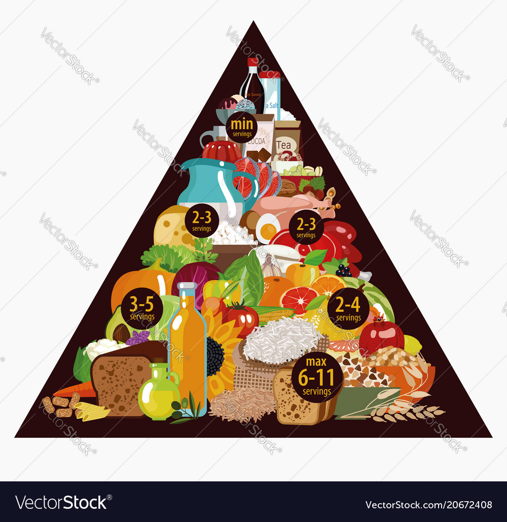 Food pyramid Royalty Free Vector Image - VectorStock