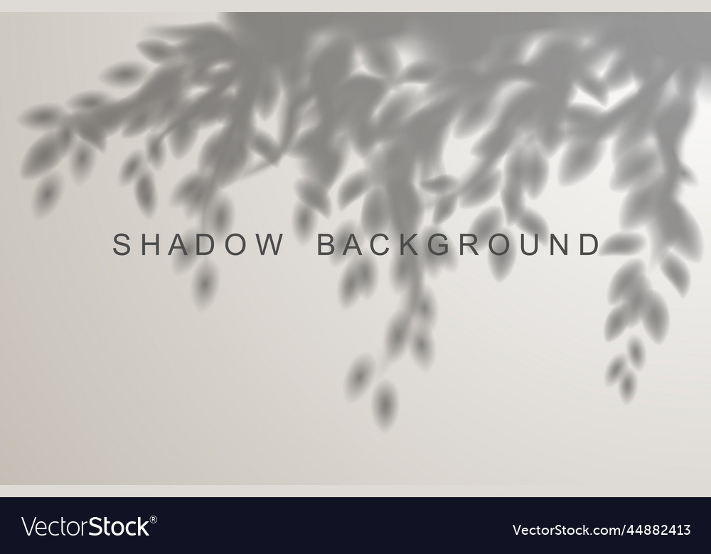 Leaves shadow effect on white background Vector Image Leaves shadow effect on white background Vector Image