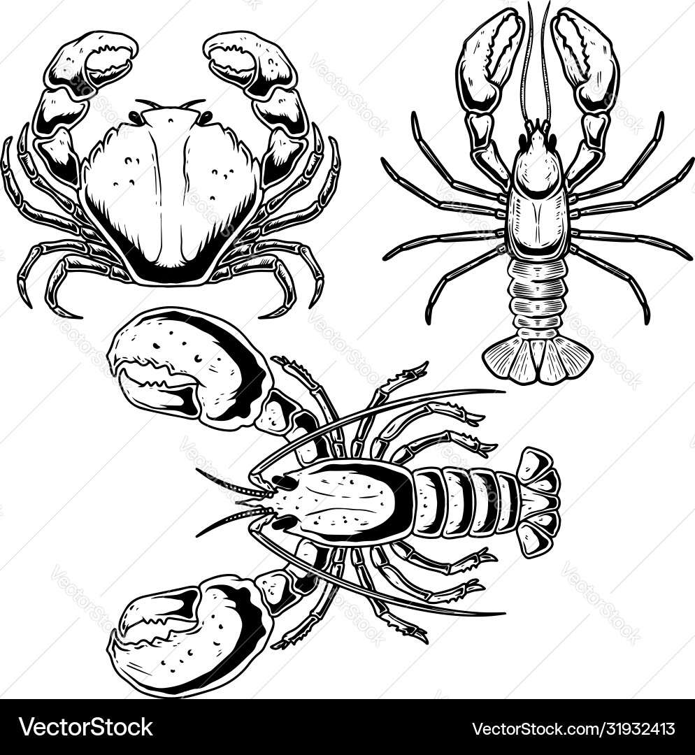 Set crab lobster omar in engraving style Vector Image