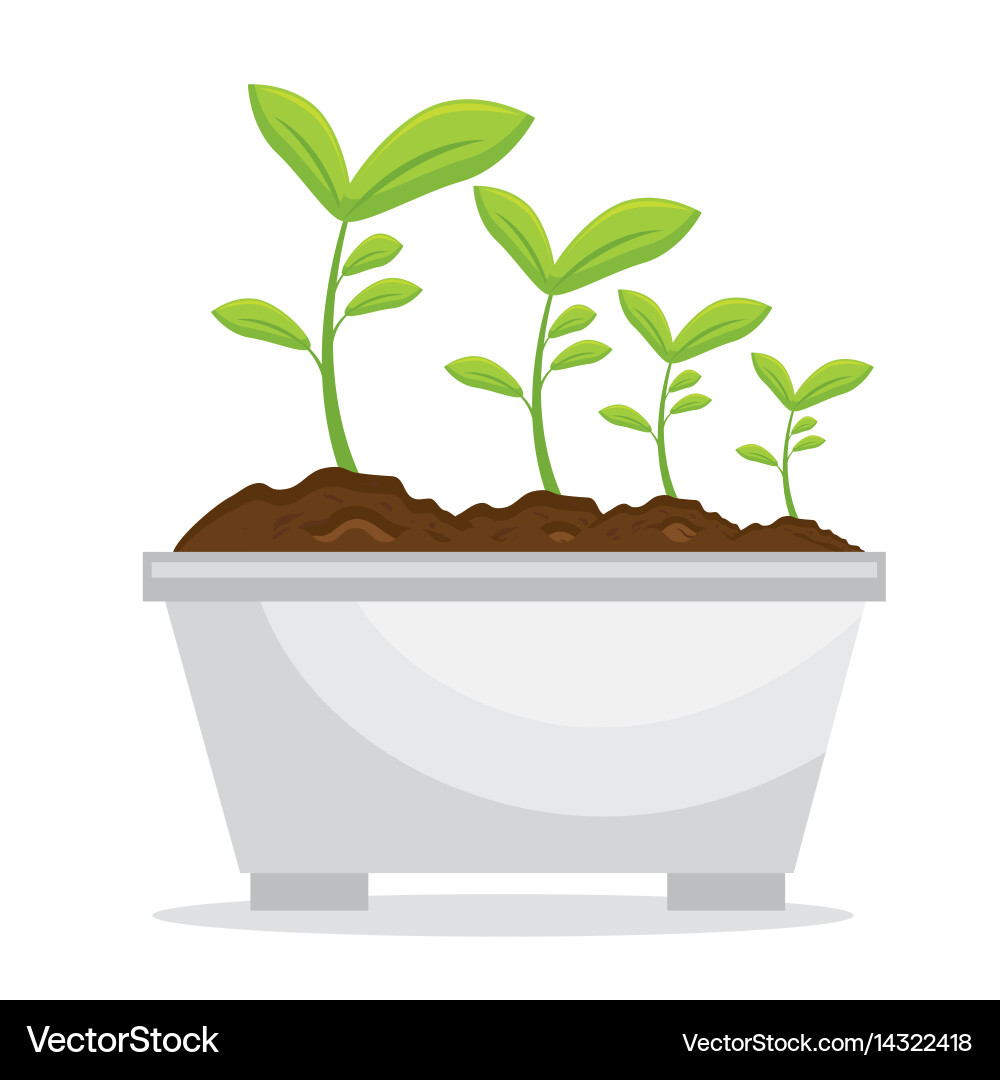 Cute garden plants cultive Royalty Free Vector Image