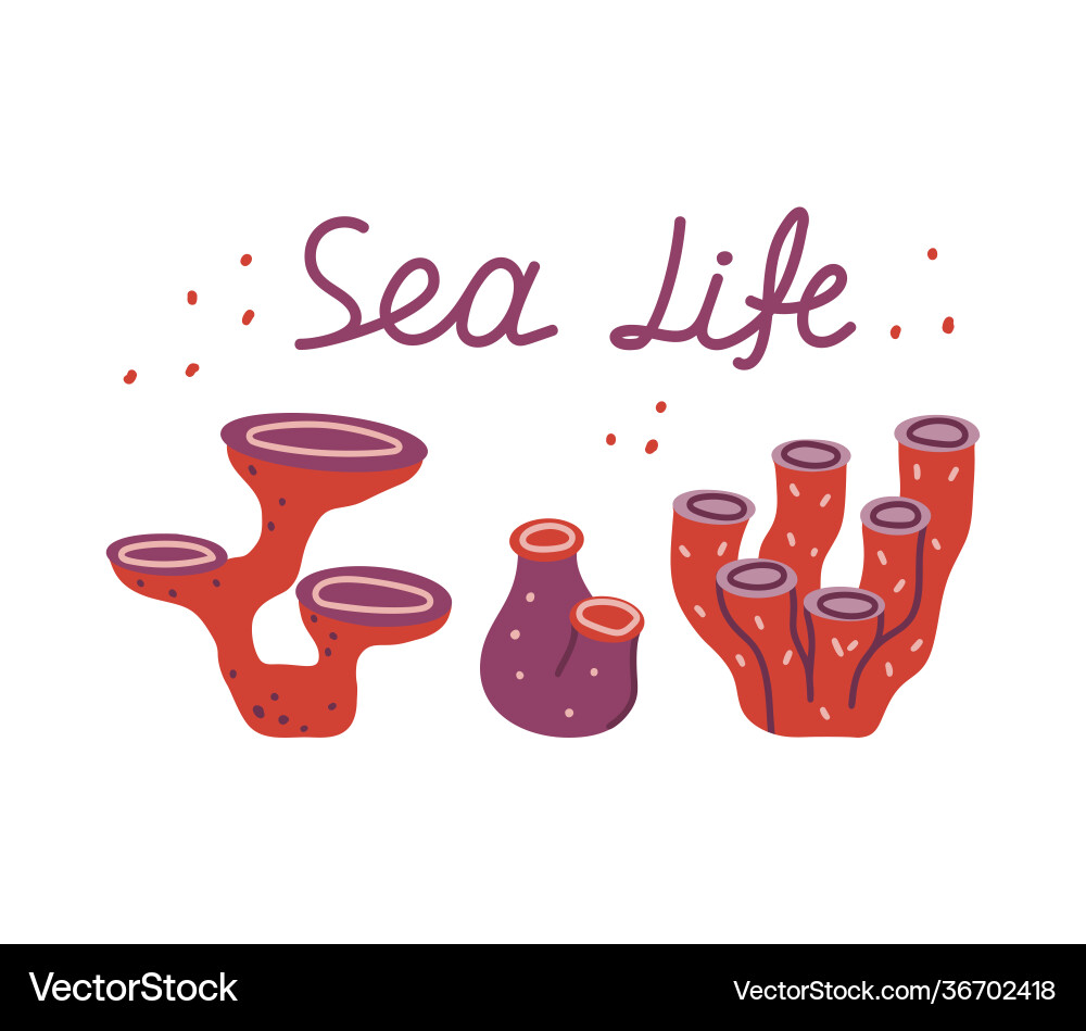 Stylized water plant coral actinia Royalty Free Vector Image
