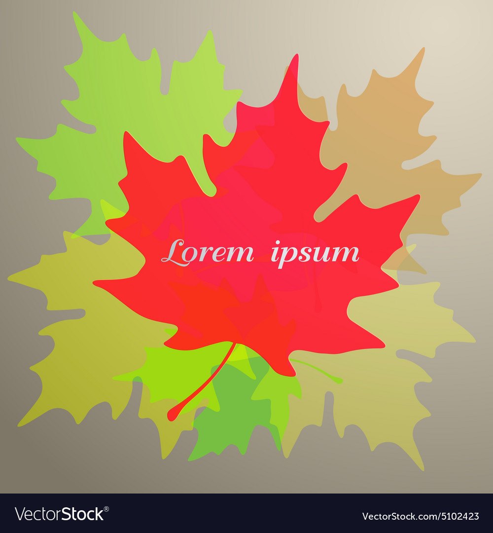 Maple leaf Royalty Free Vector Image - VectorStock