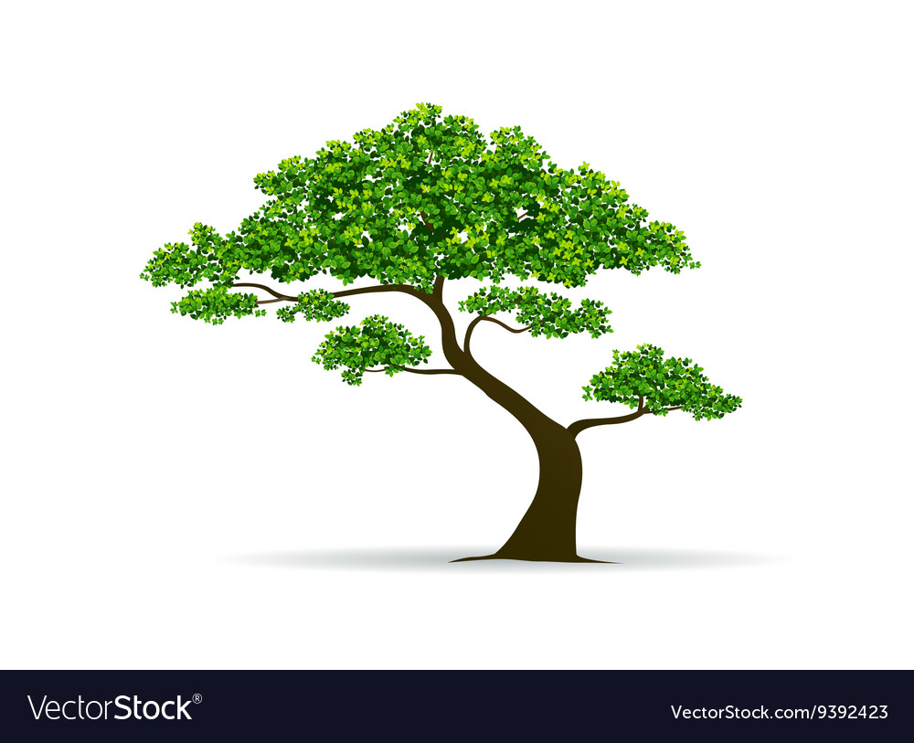 Tree and leaf Royalty Free Vector Image - VectorStock