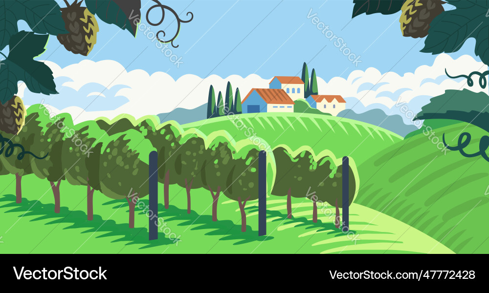 Rural landscape with vineyard vine plantation Vector Image