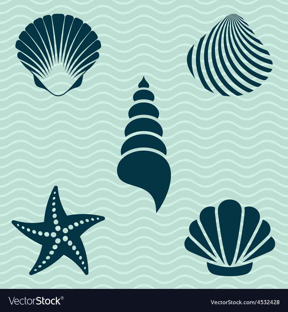 Sea shells Royalty Free Vector Image - VectorStock