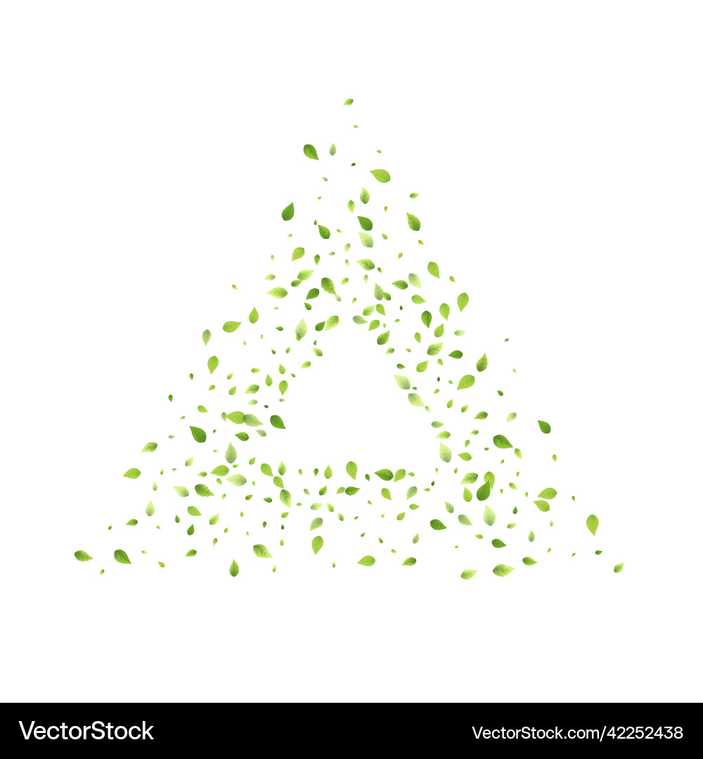 Leaves green falling flying foliage leaf tea mint Vector Image