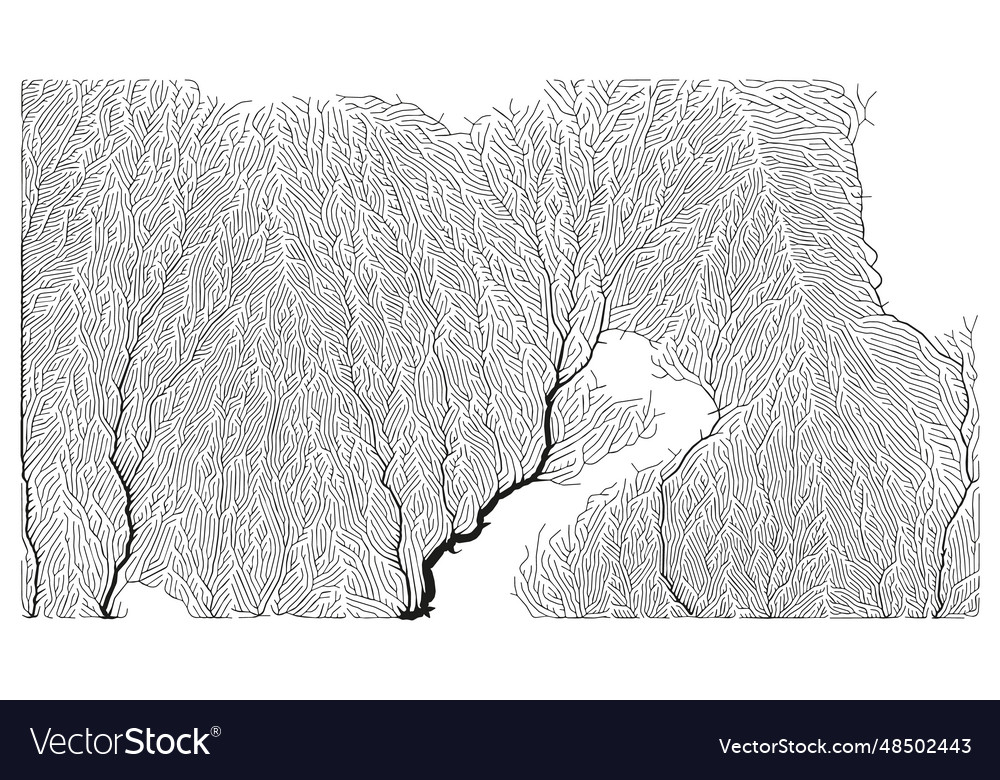 Growth pattern generative branching structure Vector Image
