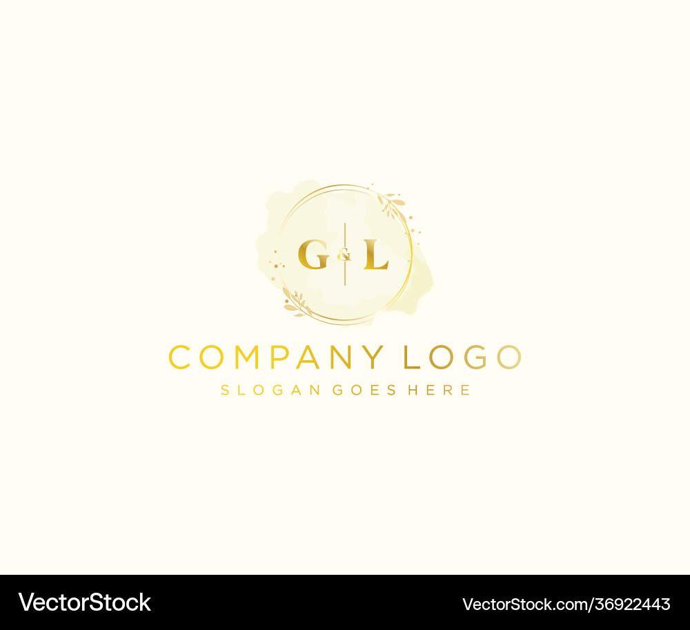 Initial gl letters colorful watercolor splash Vector Image