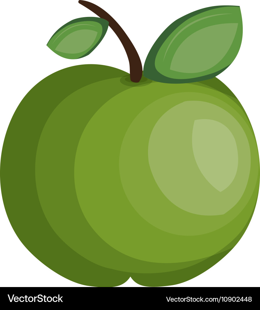 Apple fruit food Royalty Free Vector Image - VectorStock