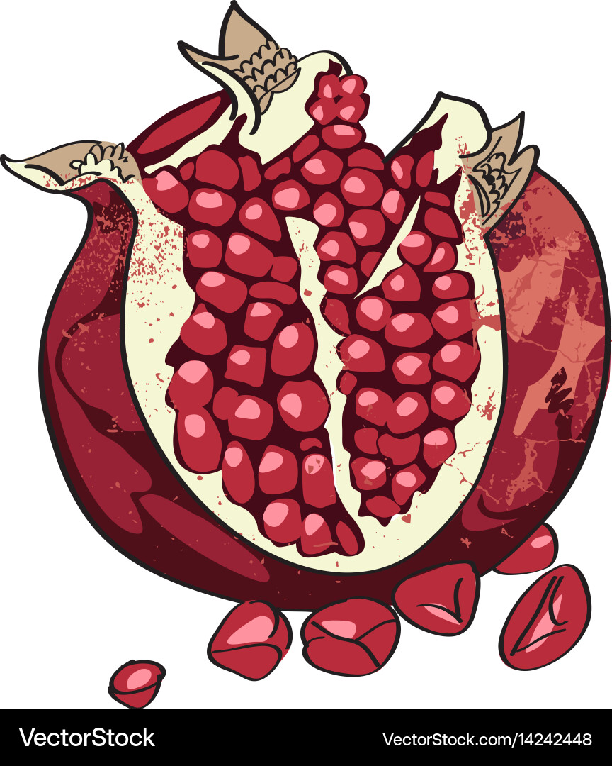 Cartoon image of pomegranate Royalty Free Vector Image