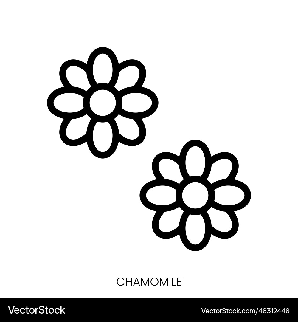 Chamomile icon line art style design isolated Vector Image