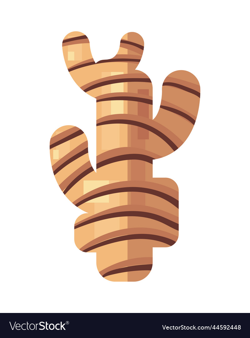 Flat ginger design Royalty Free Vector Image - VectorStock