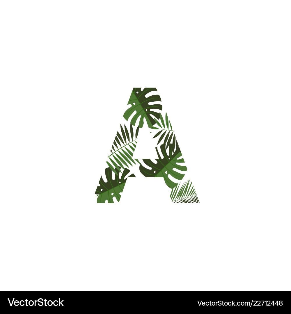 Logo letter a tropical leaves Royalty Free Vector Image