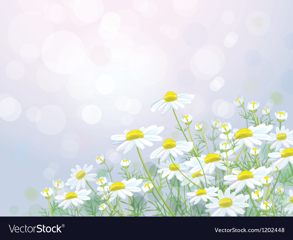 Spring Royalty Free Vector Image - VectorStock