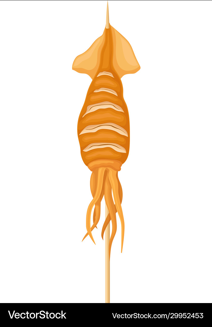 Asian street food with deep fried squid placed Vector Image