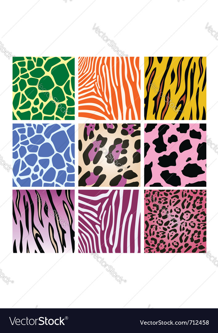 Colorful Animal Prints Patterns