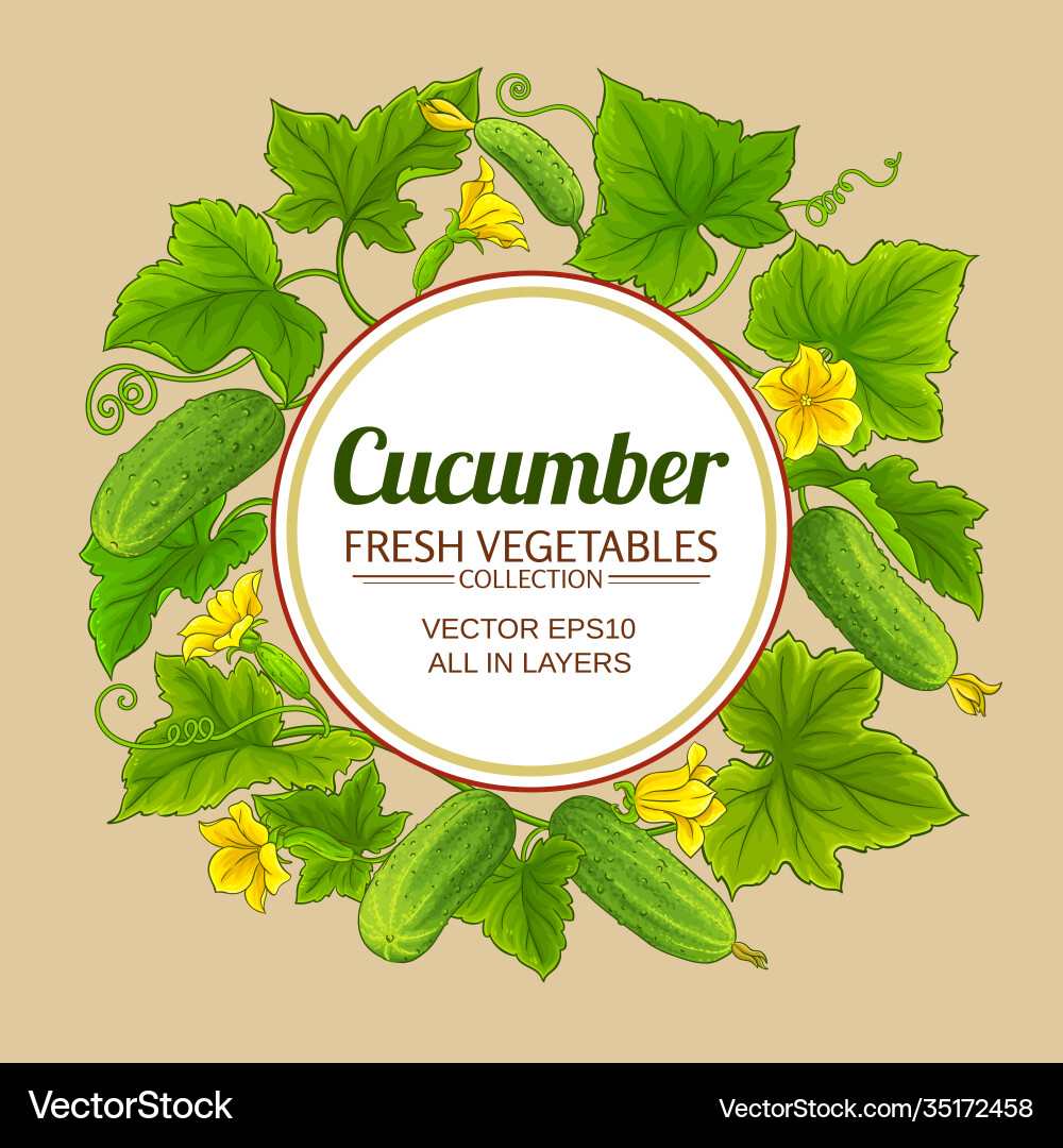 Cucumber plant frame on color background Vector Image