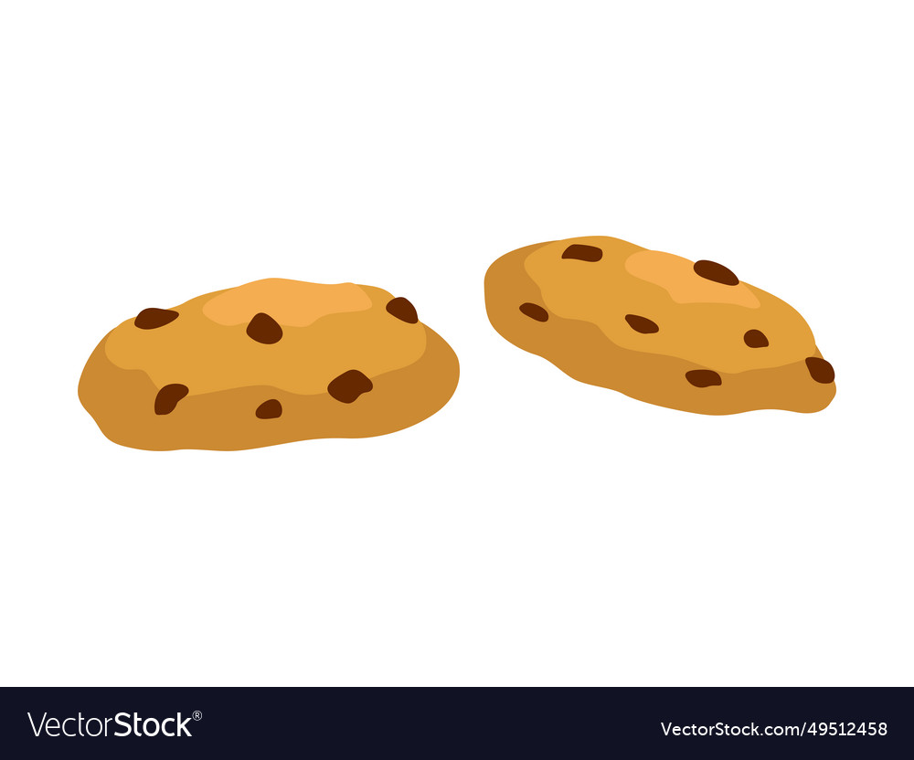 Traditional cookies with chocolate crisps Vector Image