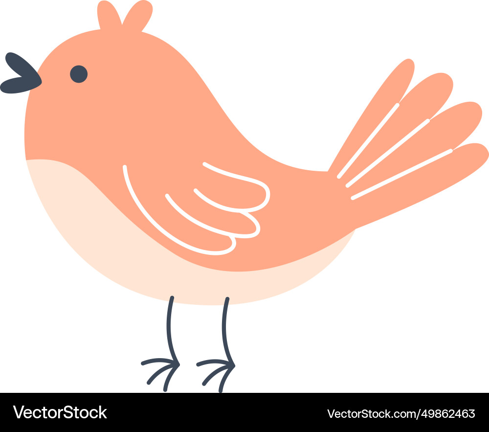 Bird cartoon animal Royalty Free Vector Image - VectorStock