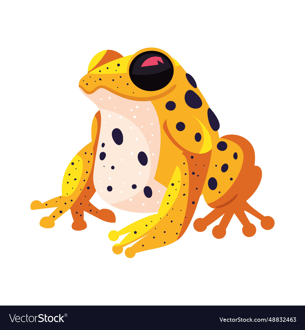 Frog isolated Royalty Free Vector Image - VectorStock