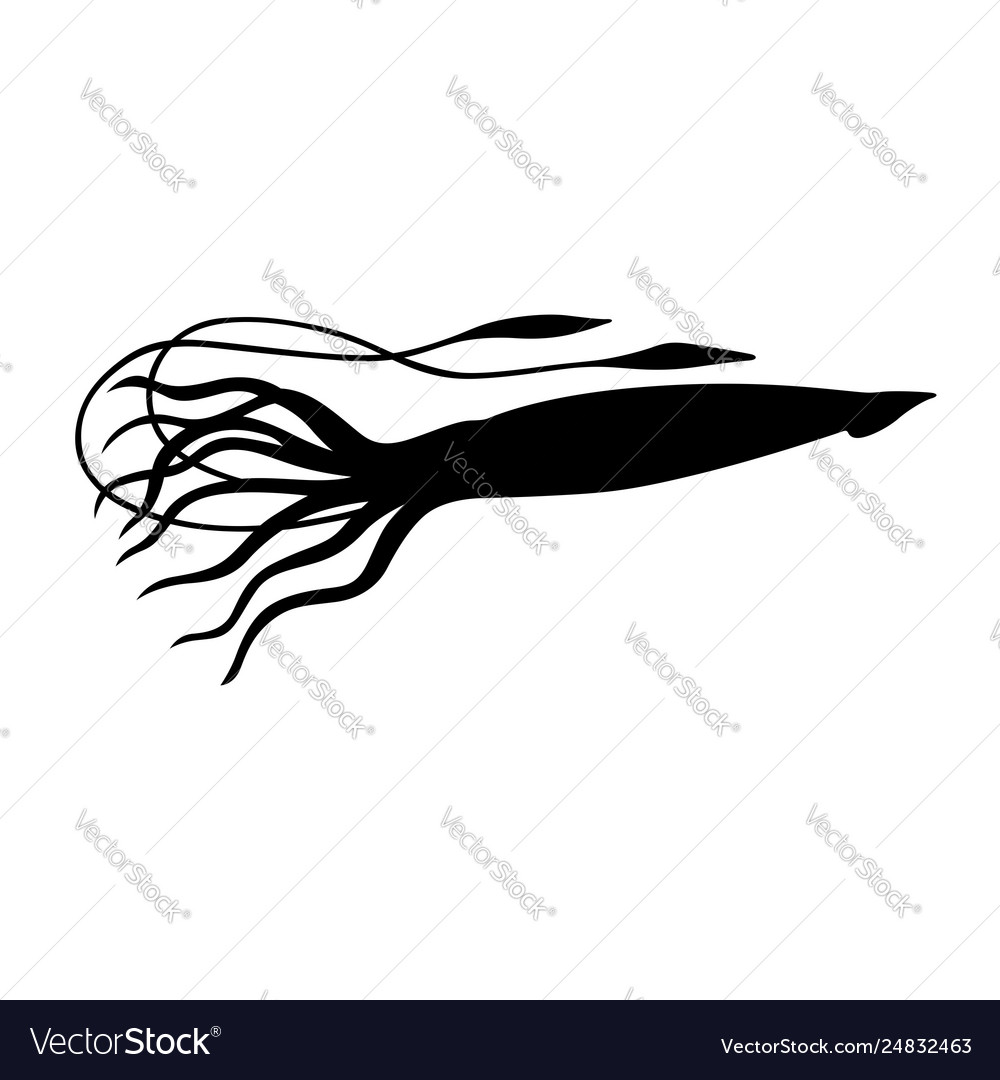 Squid Royalty Free Vector Image - VectorStock