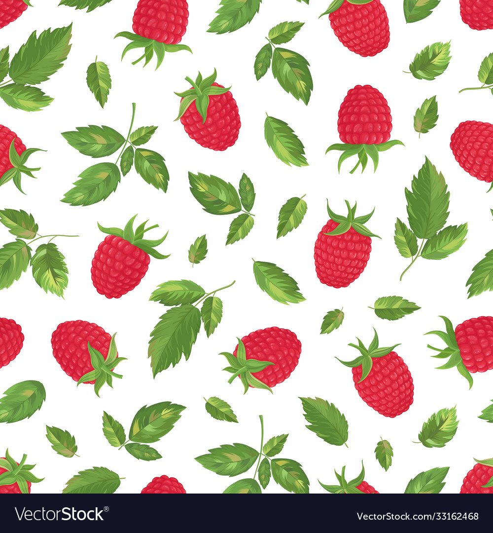 Raspberry seamless pattern-02 Royalty Free Vector Image