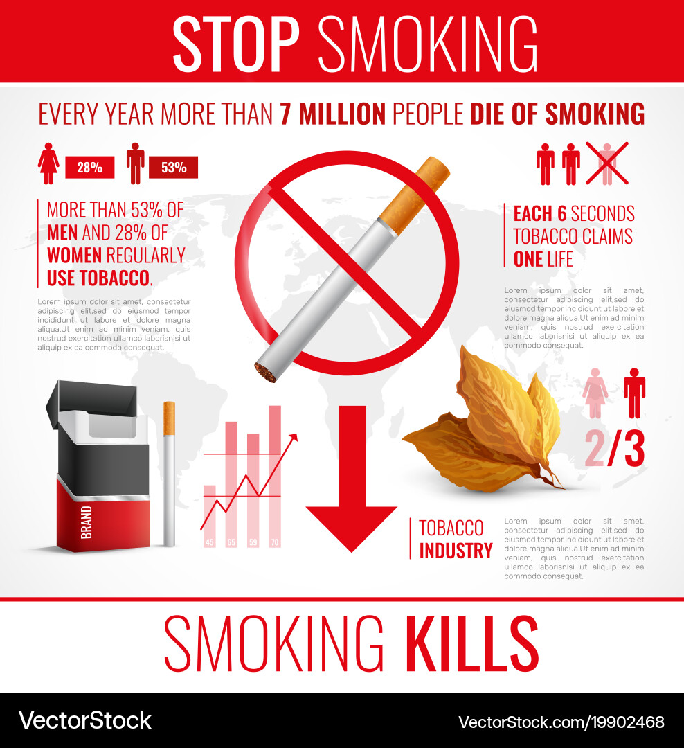 Tobacco products infographic set Royalty Free Vector Image