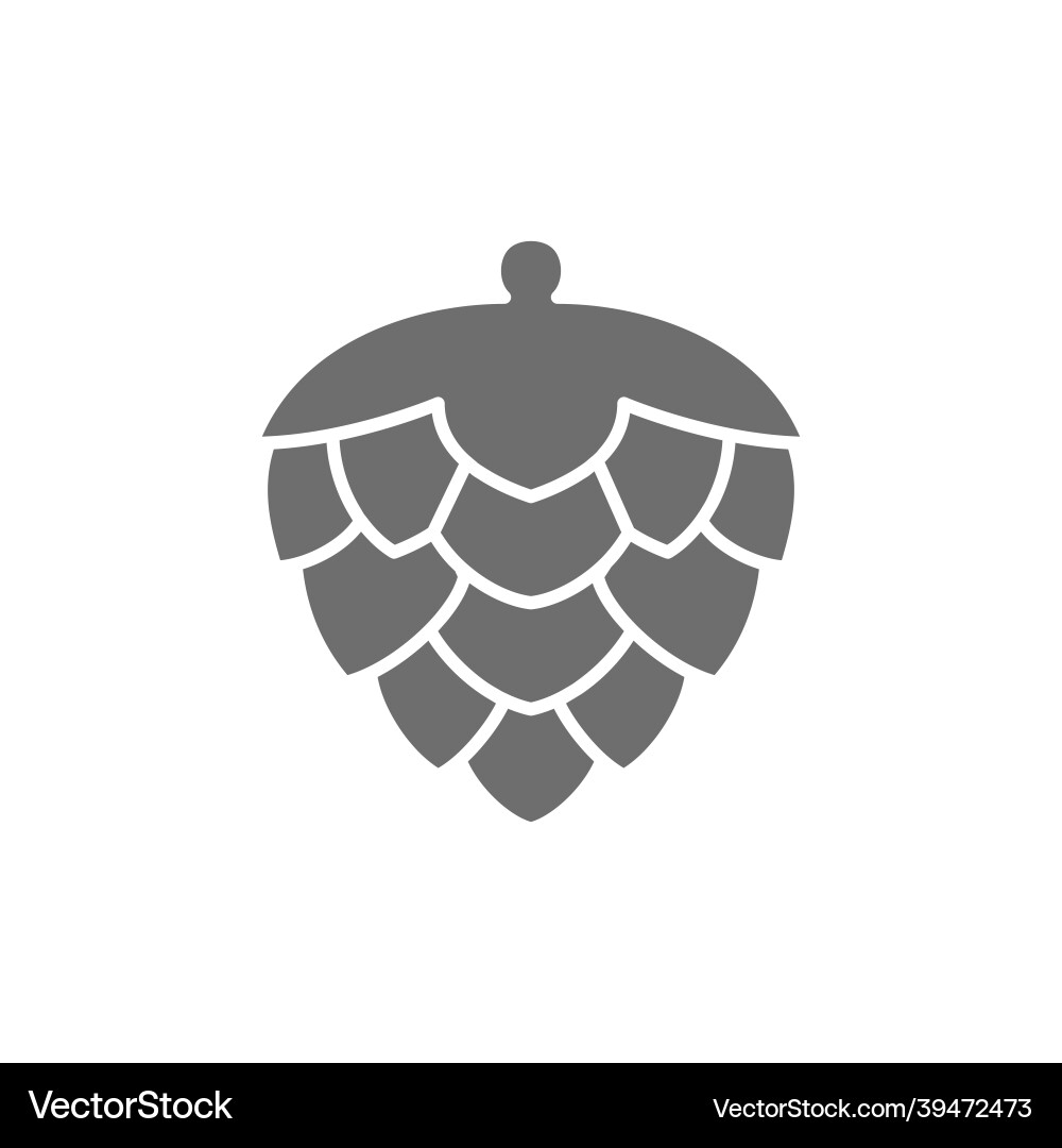 Hop cone grey icon isolated on white background Vector Image