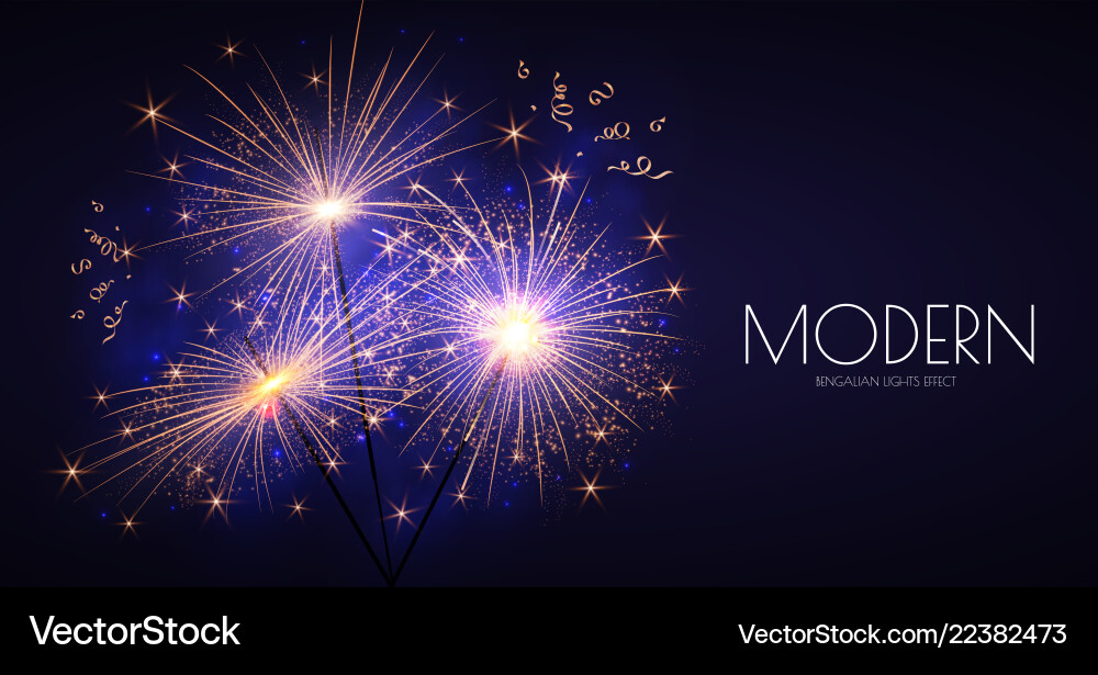 Sparcler and firework christmas decoration lights Vector Image