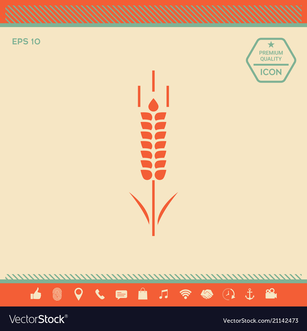 Wheat or rye spikelet symbol Royalty Free Vector Image Wheat or rye spikelet symbol Royalty Free Vector Image