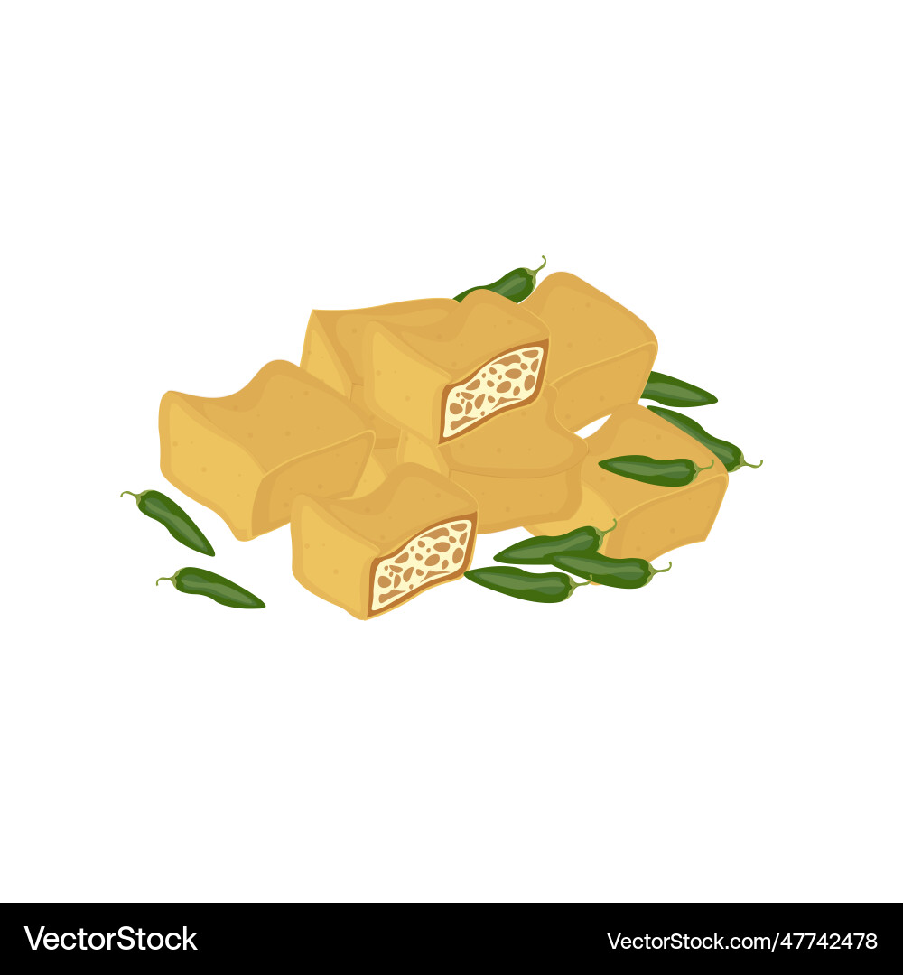 Fried tofu or tahu goreng Royalty Free Vector Image