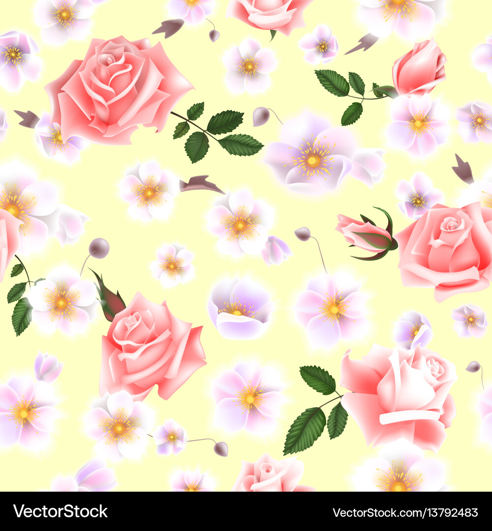Roses seamless pattern a bouquet of delicate Vector Image