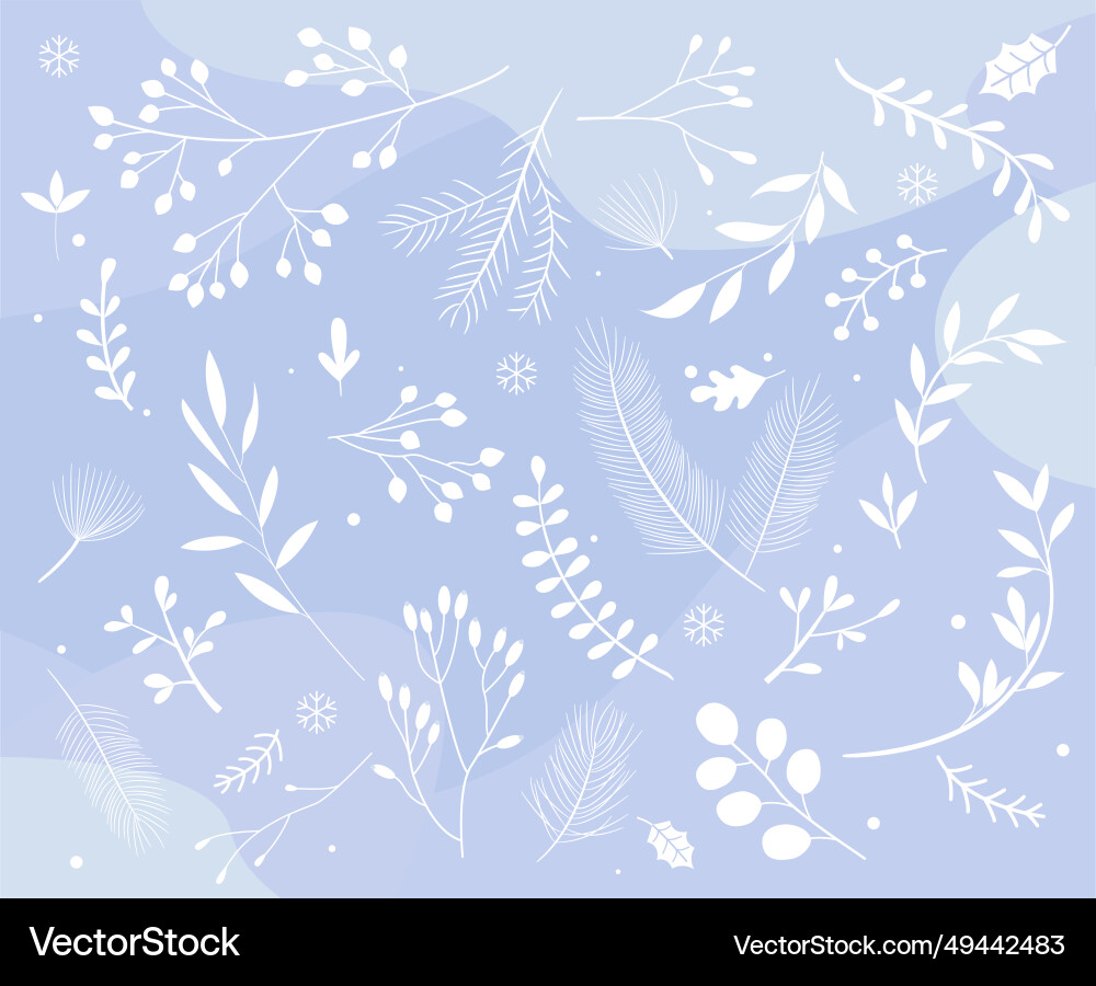 Winter set of different isolated branches leaves Vector Image
